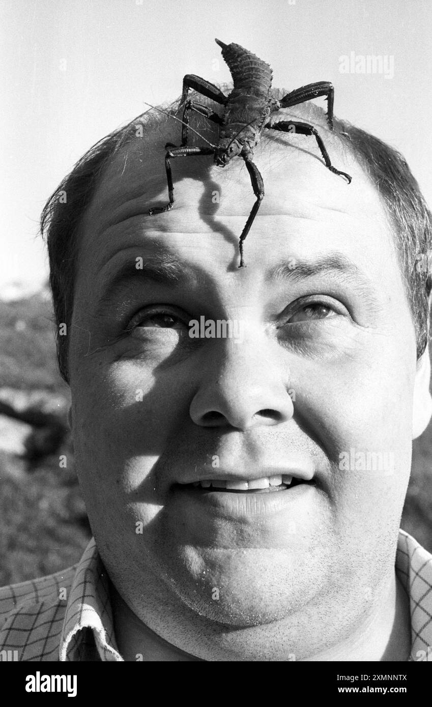 As a result of an exceptional breeding season Newquay Zoo is offering ...