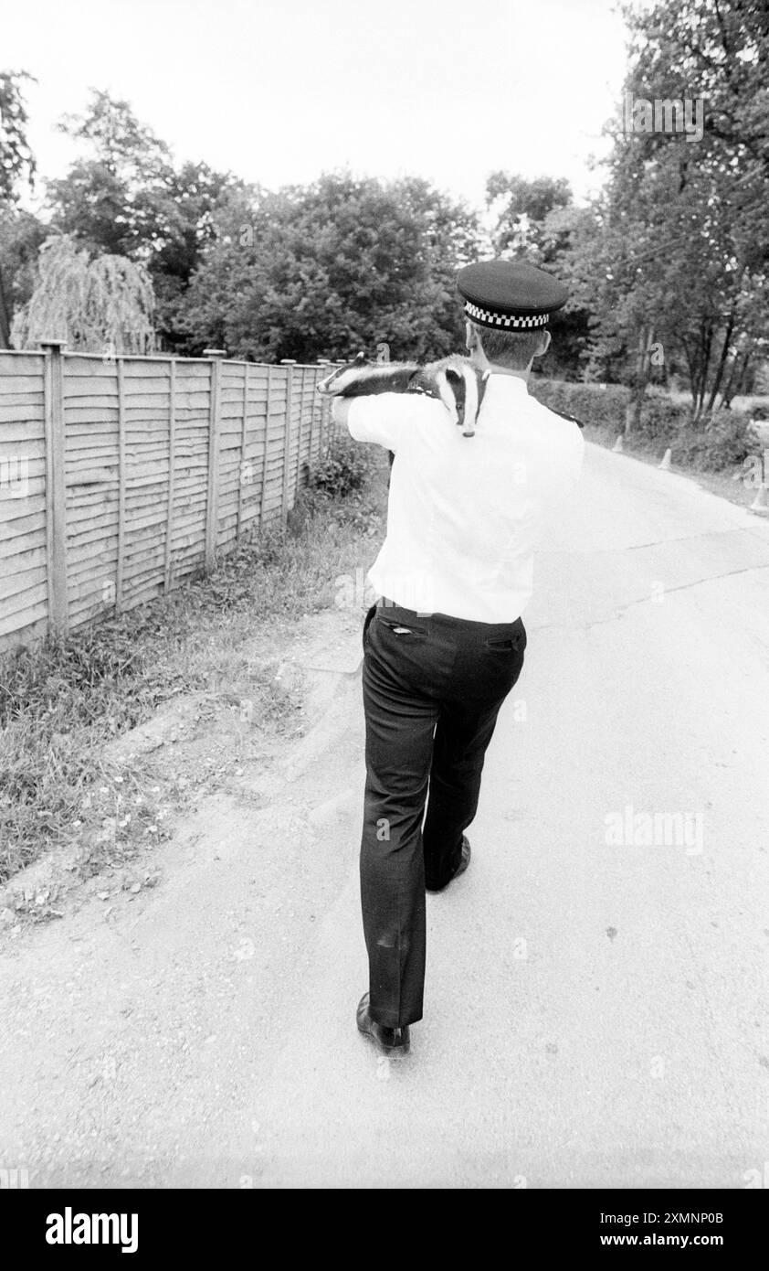 Wild life liaison officer with badgerSussex Police appointed Acting ...