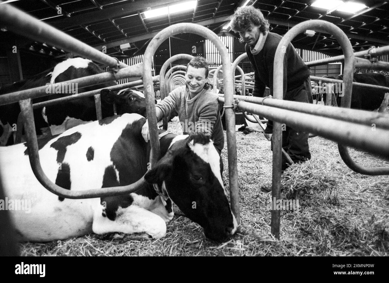 Feature on lifers in Dartmoor and how the prison uses animal care to ...