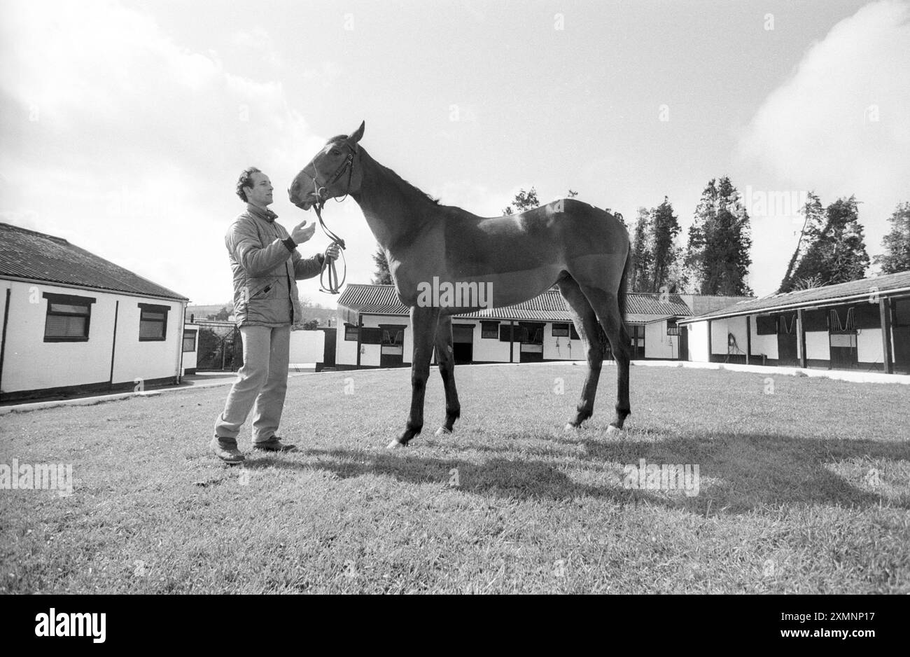Trainer stables stable hi-res stock photography and images - Alamy