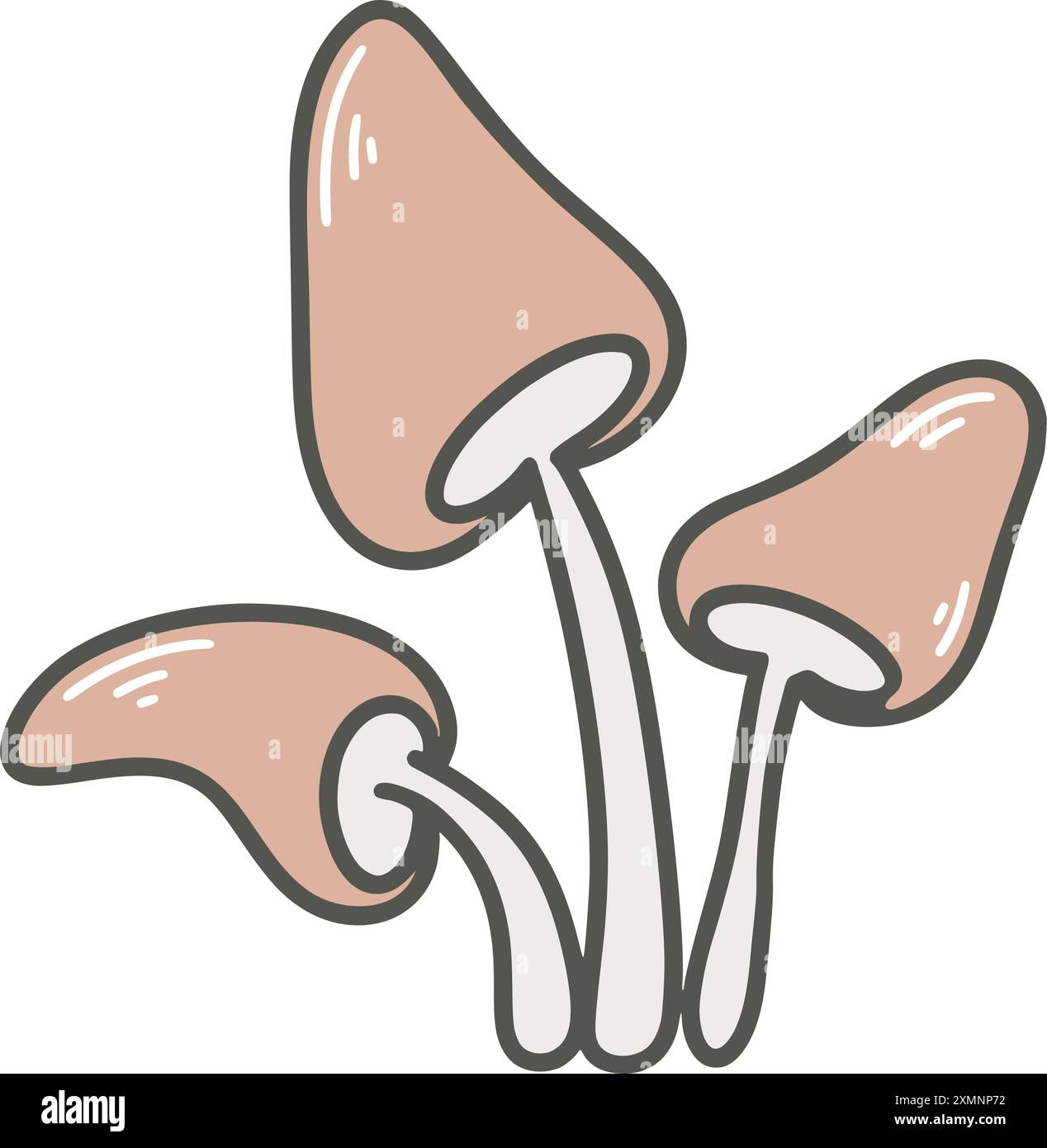 Honey mushrooms hand drawn clip art. Autumn forest mushrooms, vector ...