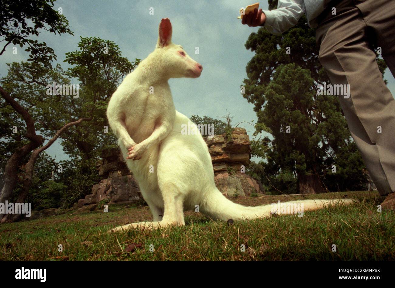 Kept in group hi-res stock photography and images - Alamy