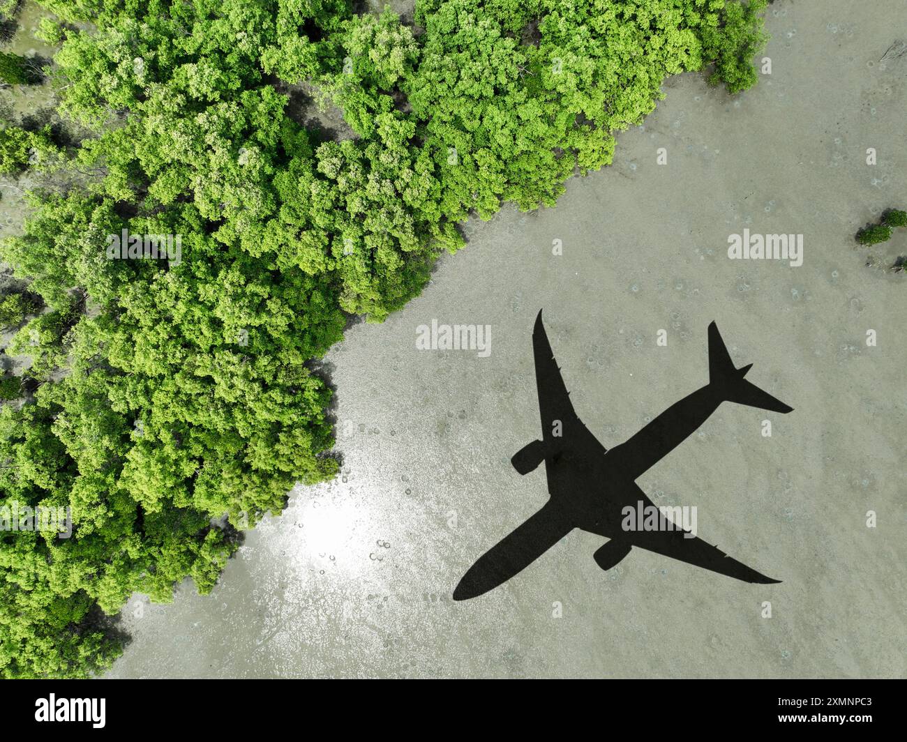 Shadow airplane flying above mangrove forest. Sustainable fuel. Biofuel ...