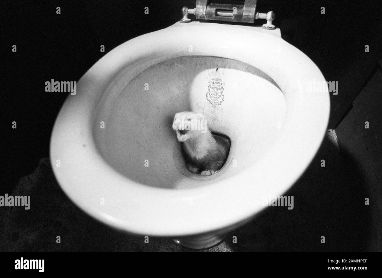 August 1995 Black and White Stock Photos & Images - Alamy