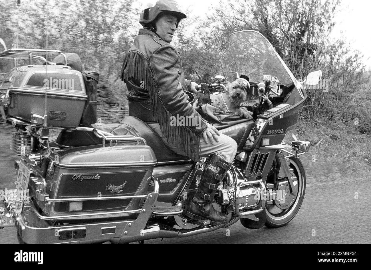 Man and Dog on a Honda Goldwing Aspencade motorcycle 19 April 1991 ...