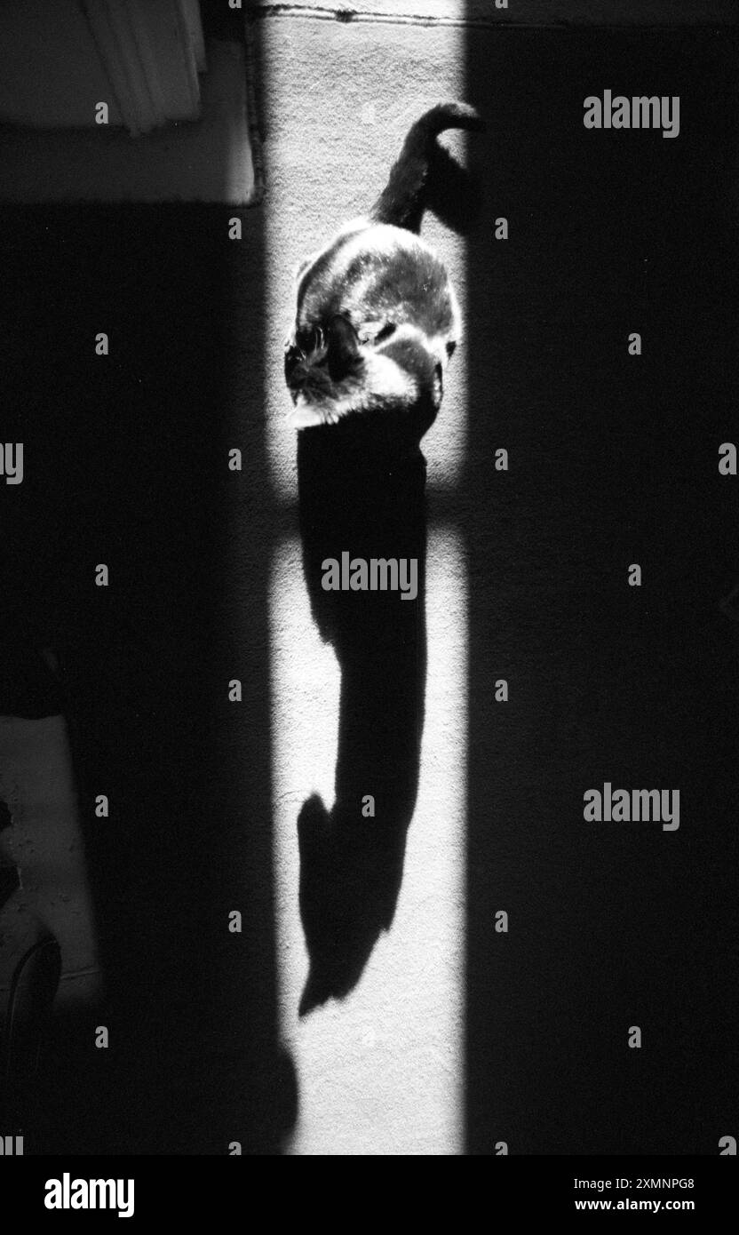 20th century roger bamber hi-res stock photography and images - Alamy