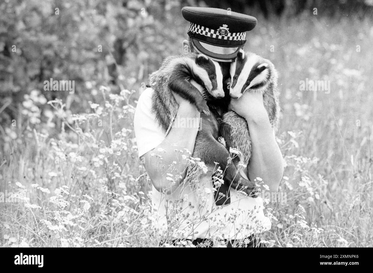 Wild life liaison officer with badger 28 July 1989 Picture by Roger ...