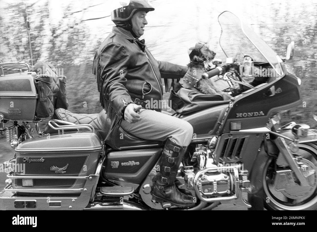 Man and Dog on a Honda Goldwing Aspencade motorcycle 19 April 1991 ...