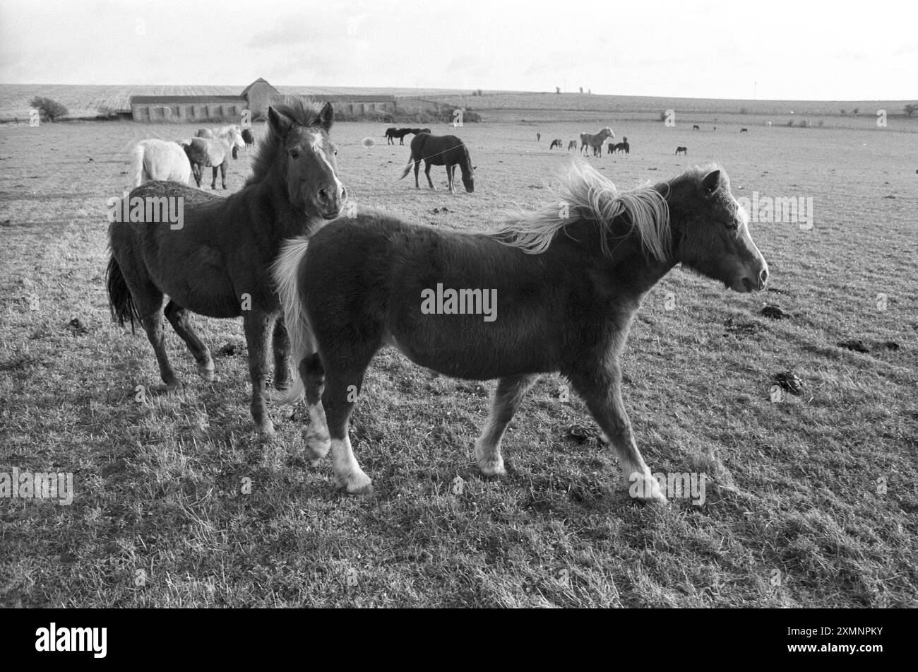 20 december 1991 hi-res stock photography and images - Alamy