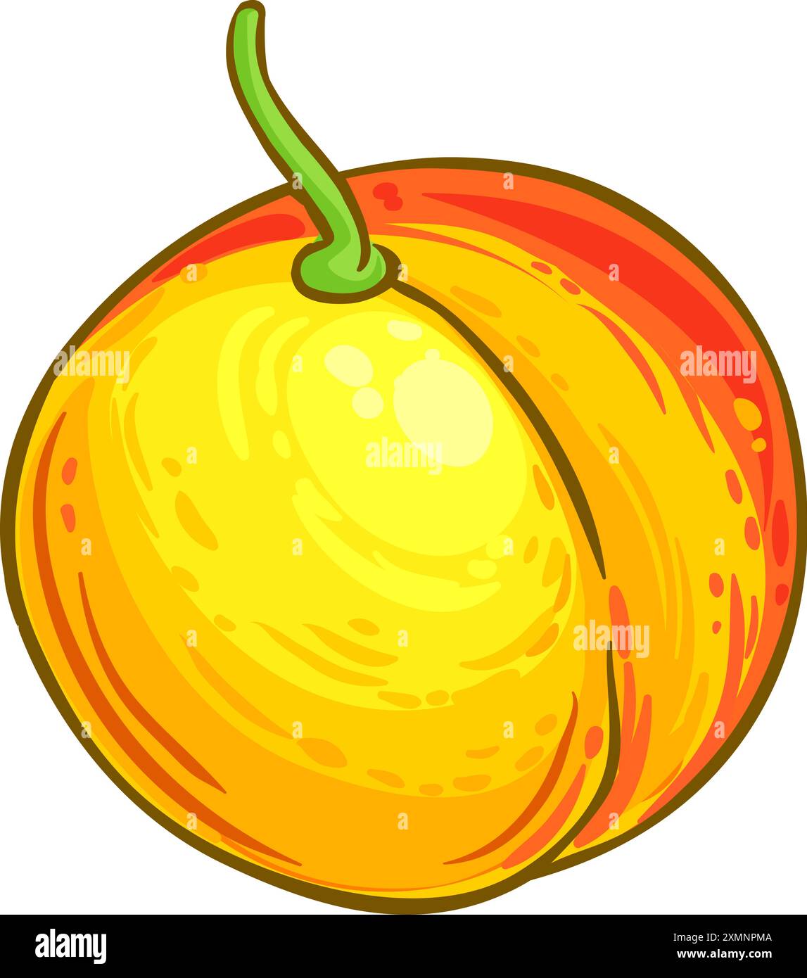 Peach Fruit Colored Detailed Illustration Stock Vector Image & Art - Alamy