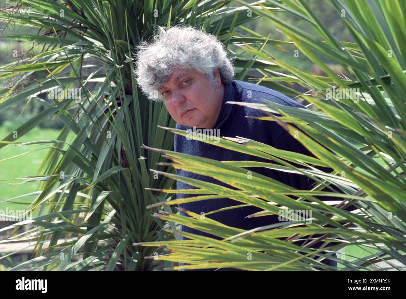 Leraves hi-res stock photography and images - Alamy