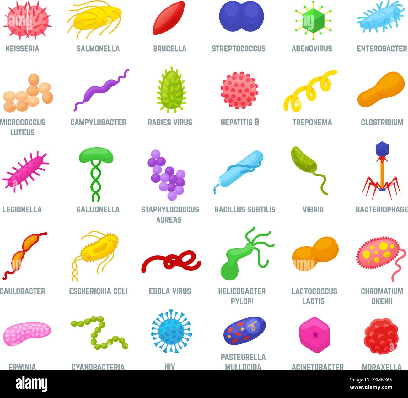 Bacterias and viruses. Various bacteria, microbe and virus icons ...