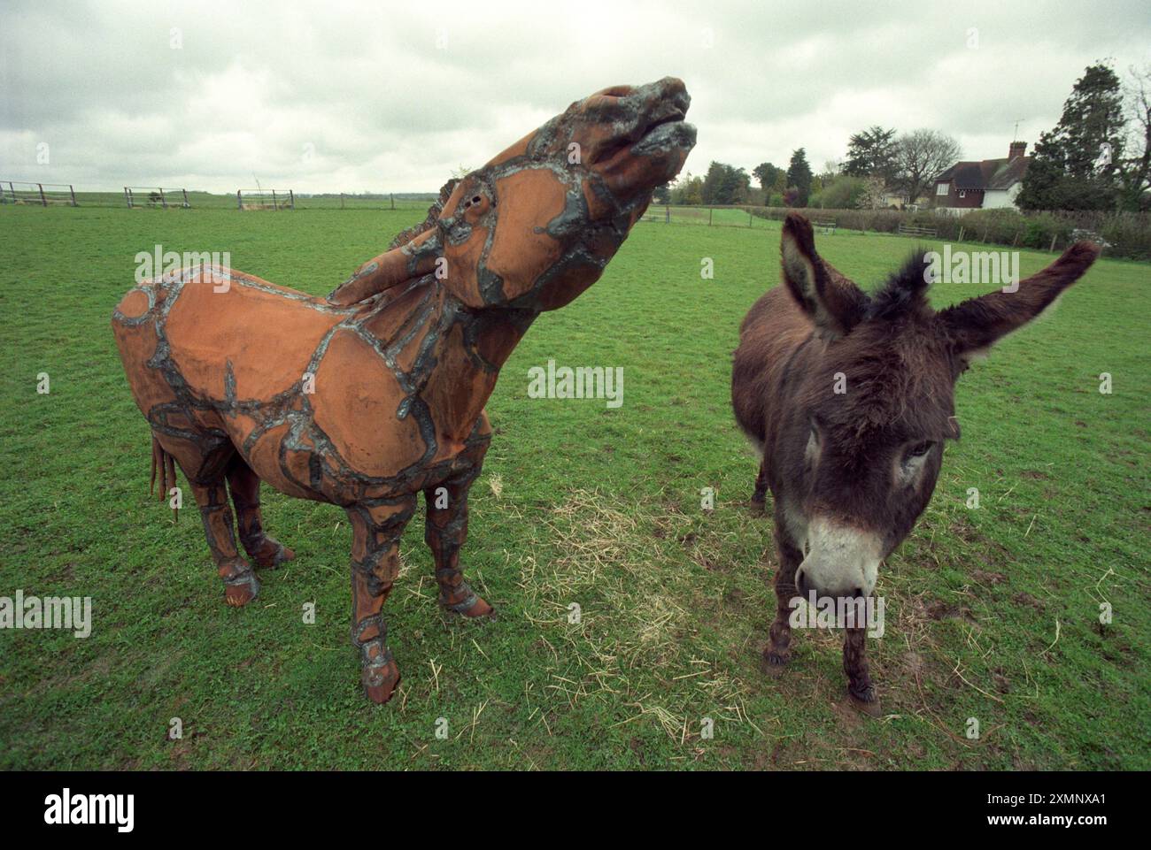 An iron sheet metal sculpture of a donkey by sculptor Len Chatworthy in ...