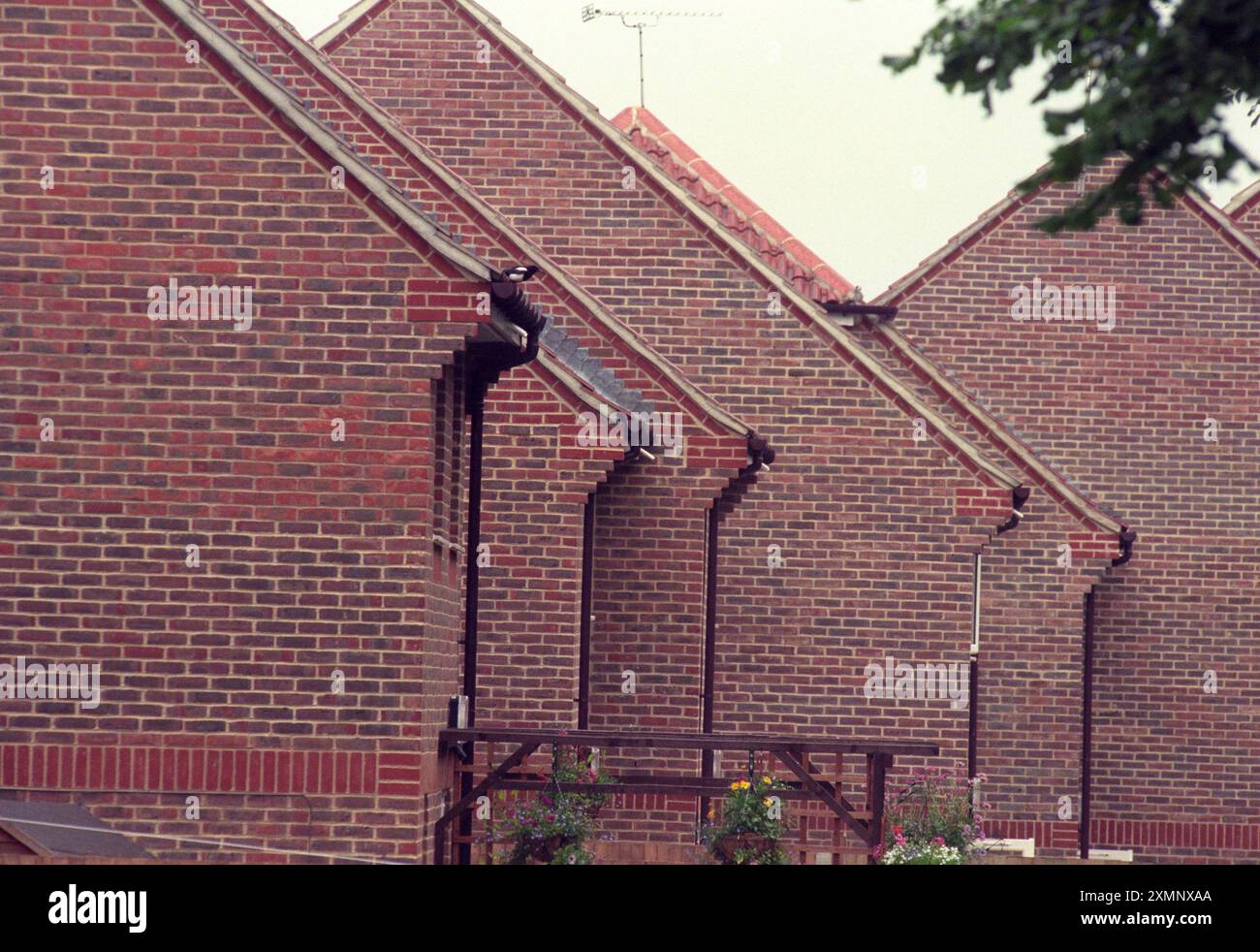 House Building 24 June 1998 Picture by Roger Bamber Stock Photo - Alamy
