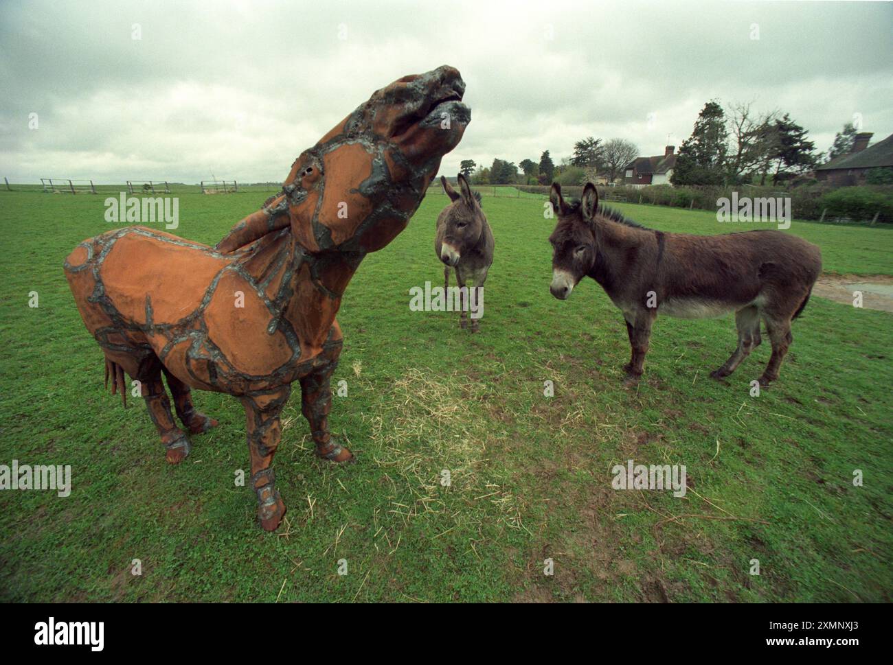 An iron sheet metal sculpture of a donkey by sculptor Len Chatworthy in ...