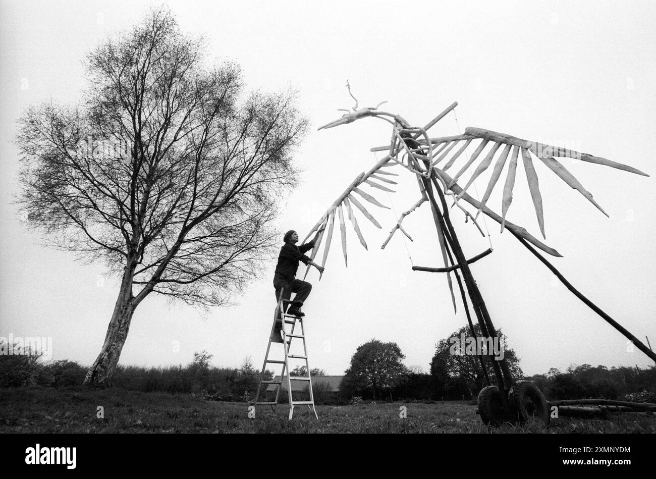 Simon Pascoe - Tree Bird ????????????No date Picture by Roger Bamber ...