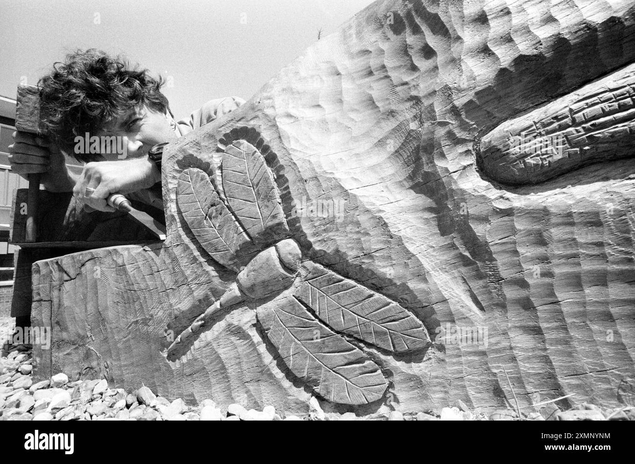 The reece school Black and White Stock Photos & Images - Alamy