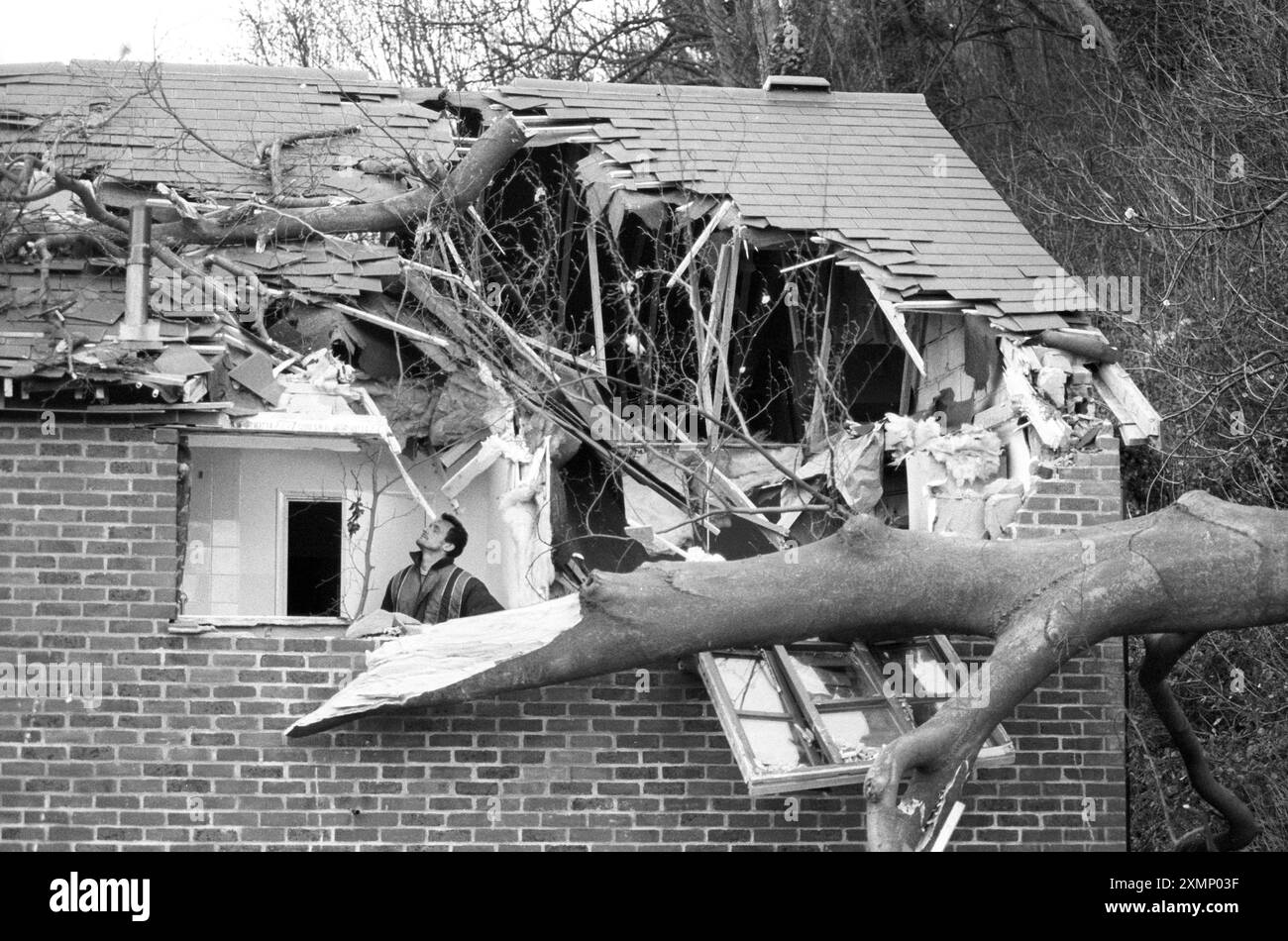 Tree on houseA man looking through his window at the tree that has ...