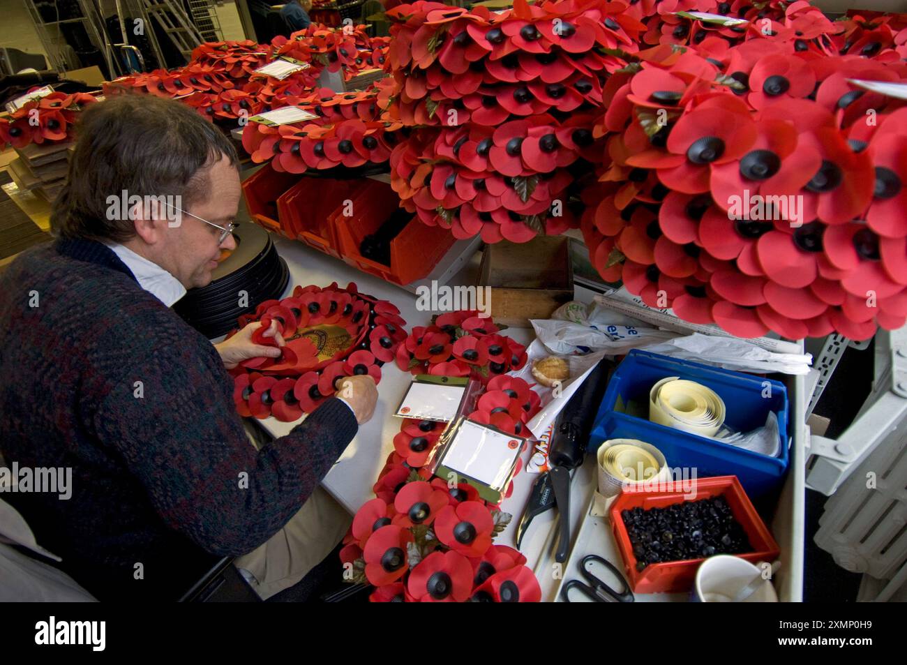 Picture by Roger Bamber. A Worker at the Royal British Legion Poppy ...