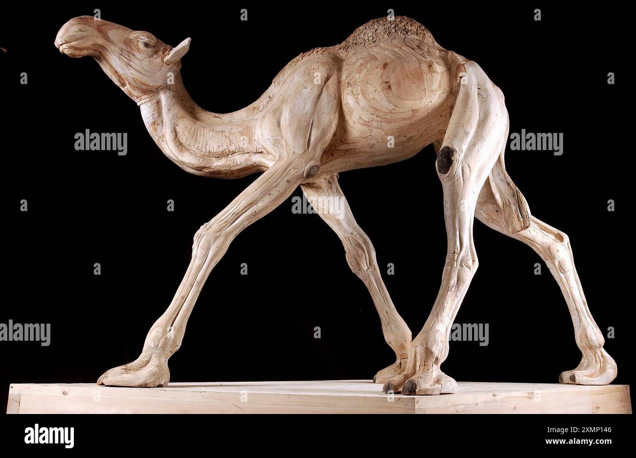 An elegant wooden camel carved out of old floorboards by sculptor Nick ...