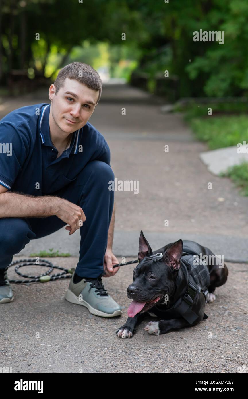 Pitbull aggressive jump hi-res stock photography and images - Alamy