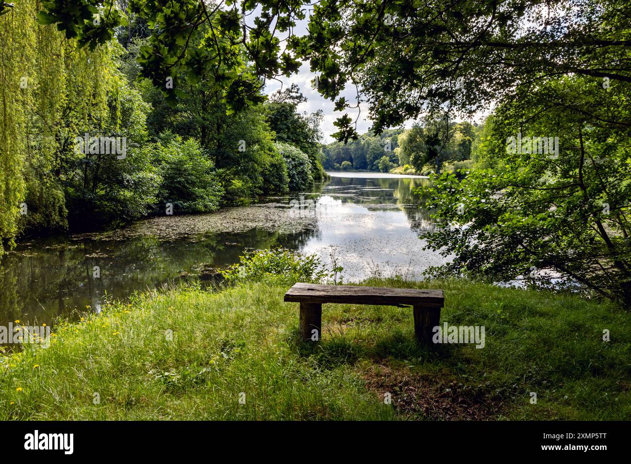 Lakeside view at Ugbrooke House and Gardens in Devon, England, Uk Stock ...