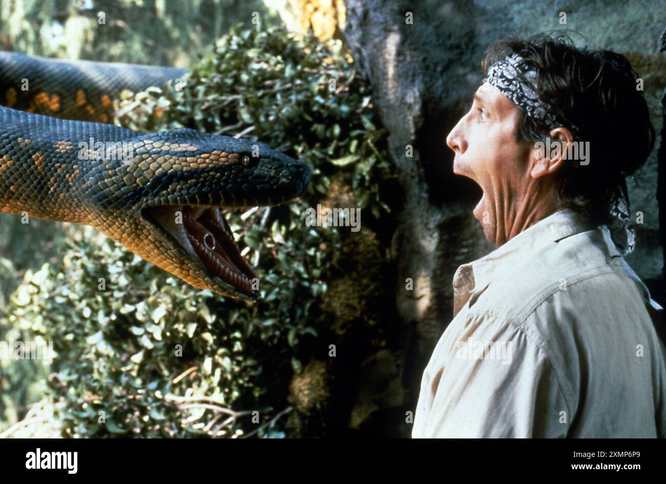 Anaconda Year: 1997 USA / Brazil / Peru Directed by Luis Llosa Jonathan ...