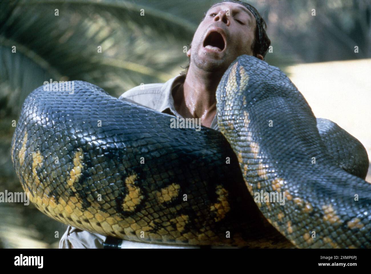 Anaconda Movie Snake Attack