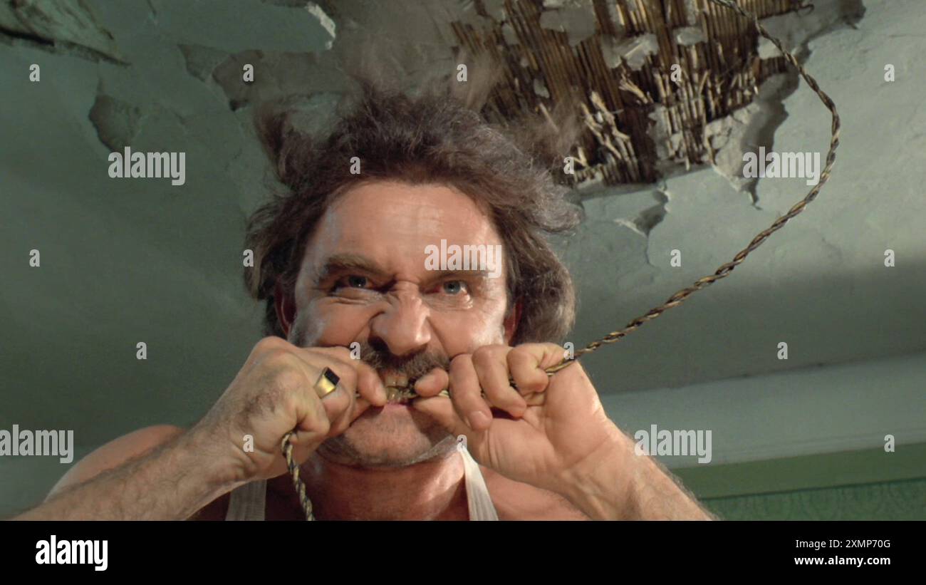 Underground Year: 1995 Yugoslavia Director: Emir Kusturica Lazar ...