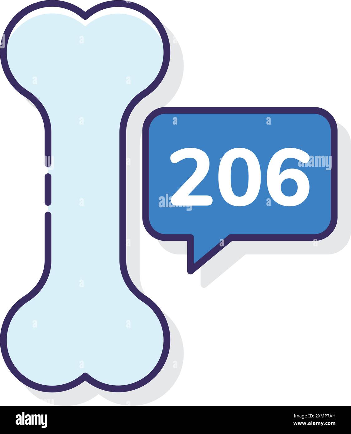 206 bones hi-res stock photography and images - Alamy