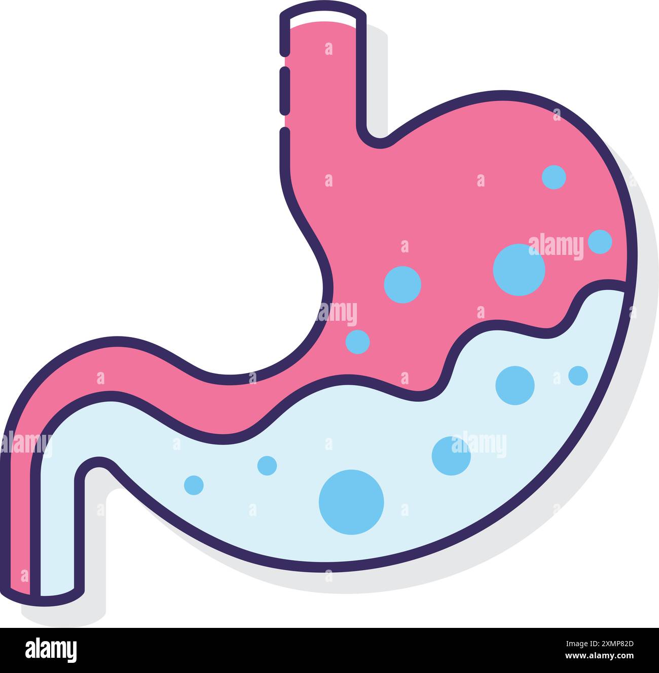 Stomach isolated Stock Vector Images - Alamy
