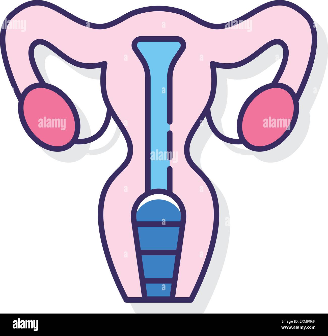 Uterus vector illustration Stock Vector Images - Alamy
