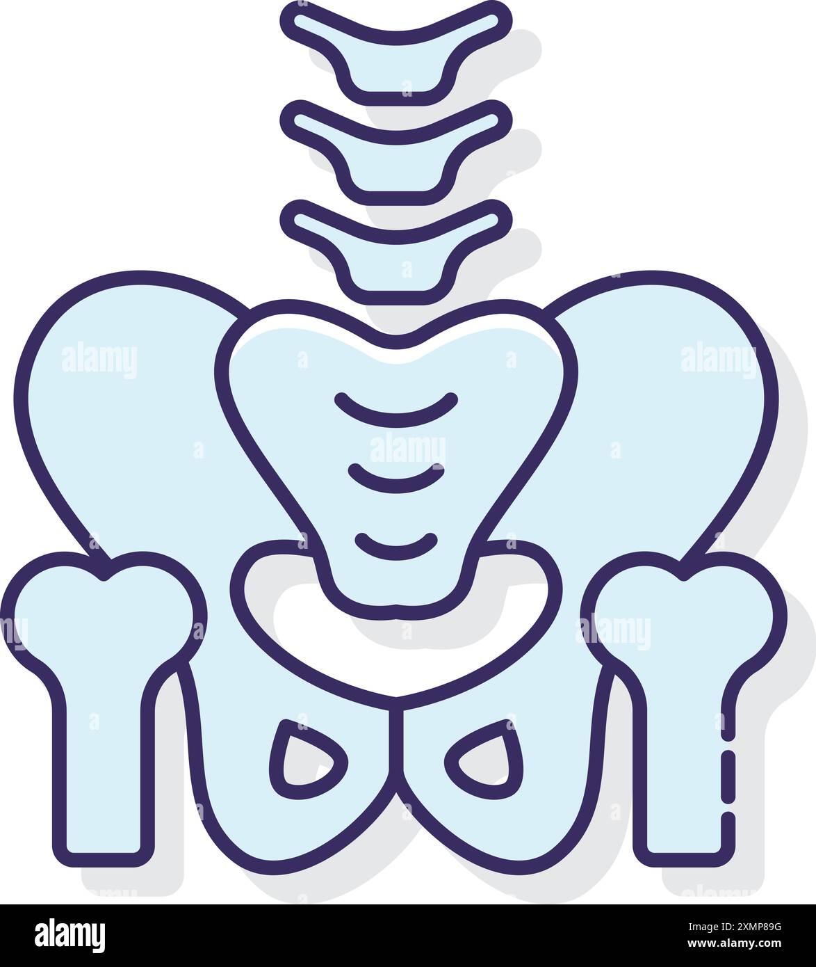 Pelvis vector vectors hi-res stock photography and images - Alamy