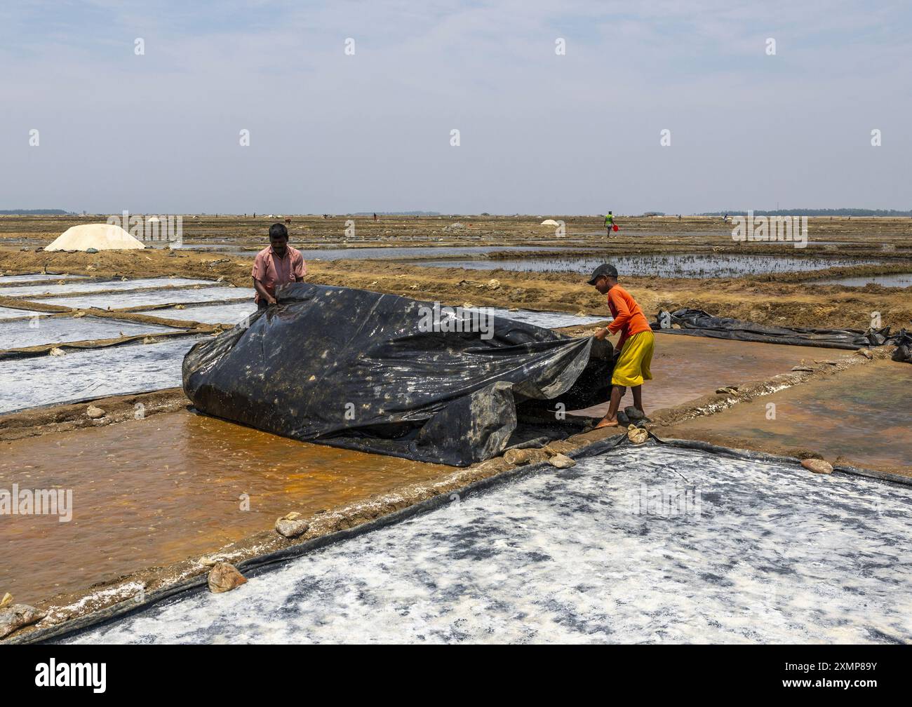 Bangladeshi men working in a salt field, Chittagong Division ...