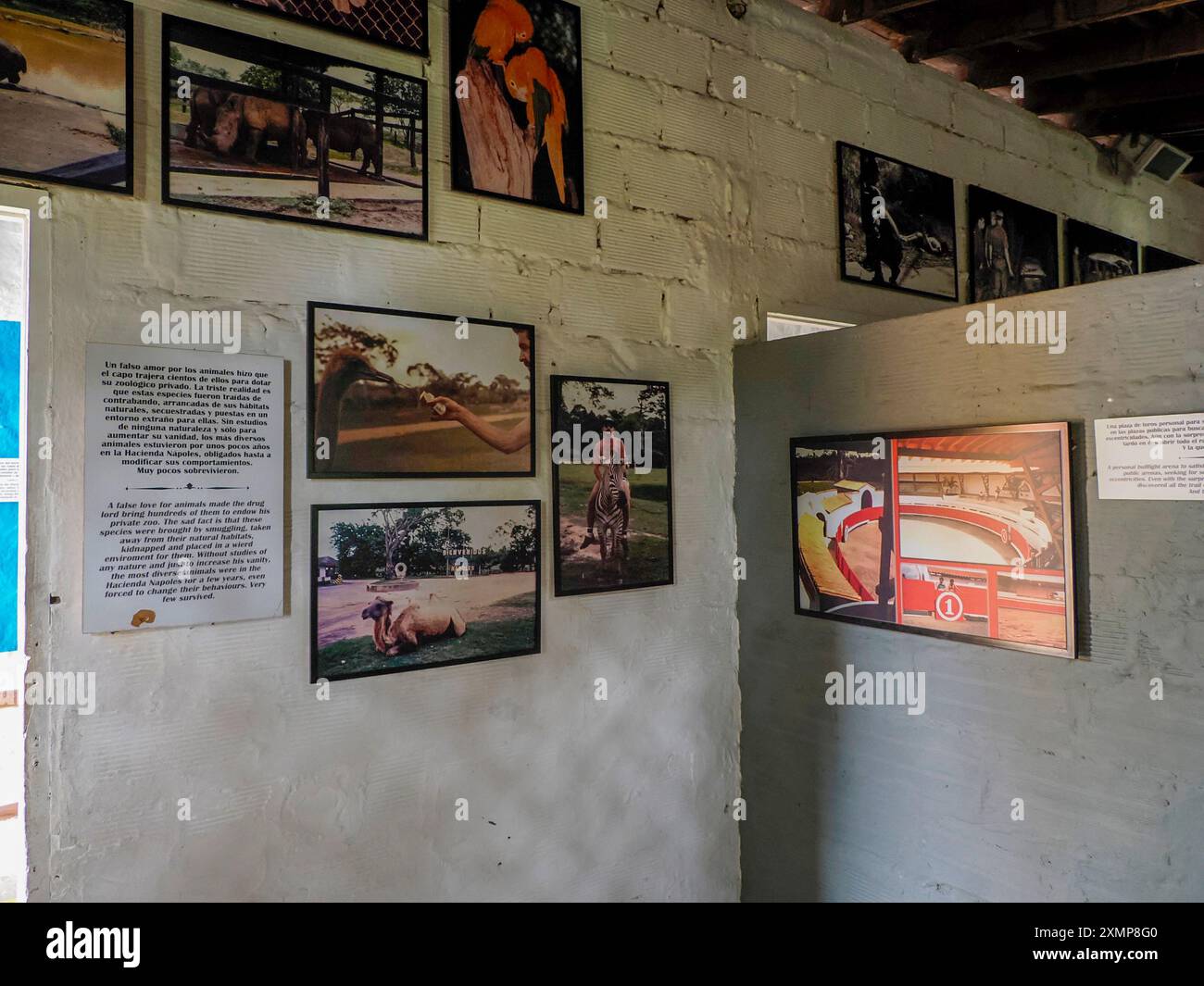 Pablo escobar colombia napoles hi-res stock photography and images - Alamy