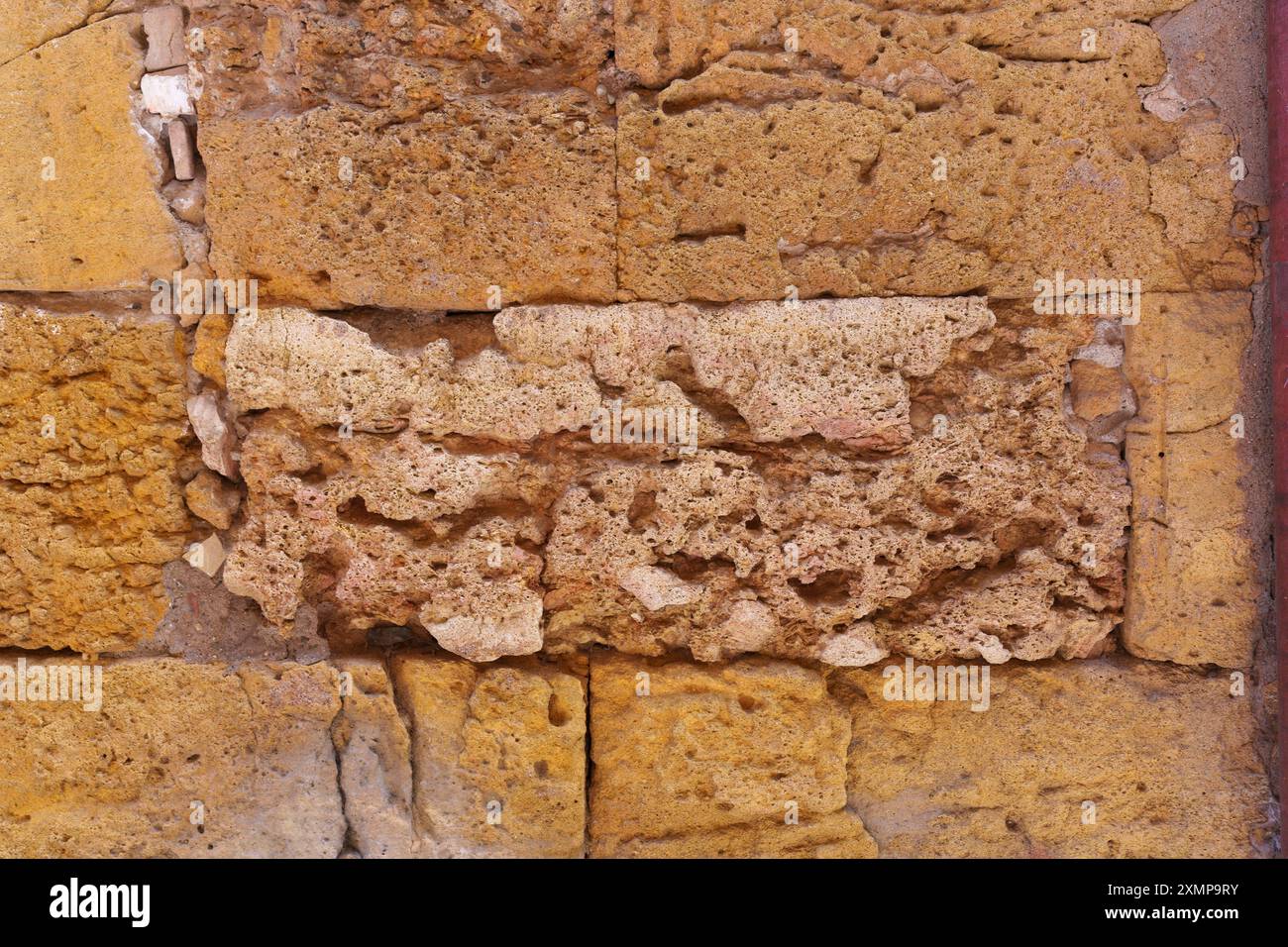 Featuring unique surface patterns hi-res stock photography and images ...