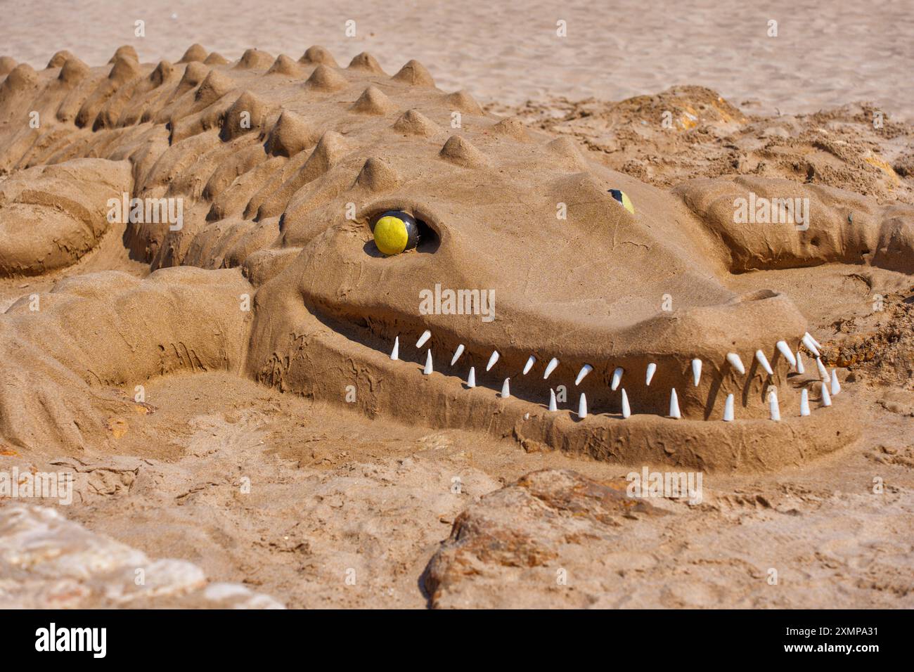 Detailed sand sculpture of a crocodile with yellow eyes and teeth Stock ...