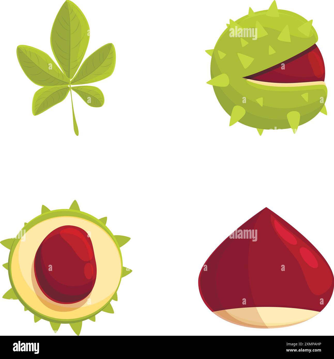 Brown chestnut icons set cartoon vector chestnut hi-res stock ...