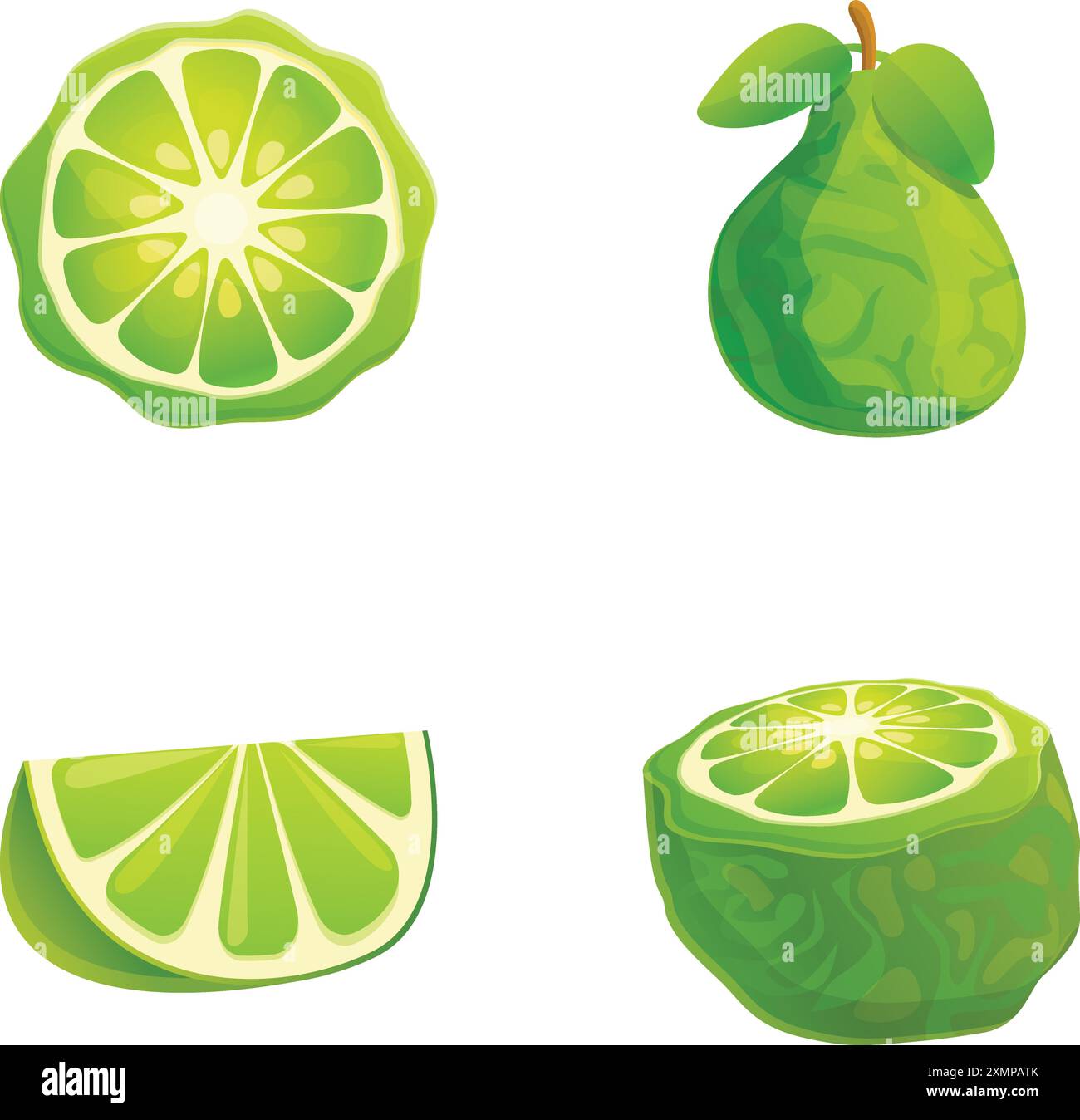 Organic lime icons set cartoon vector. Whole half cut slice lime fruit ...