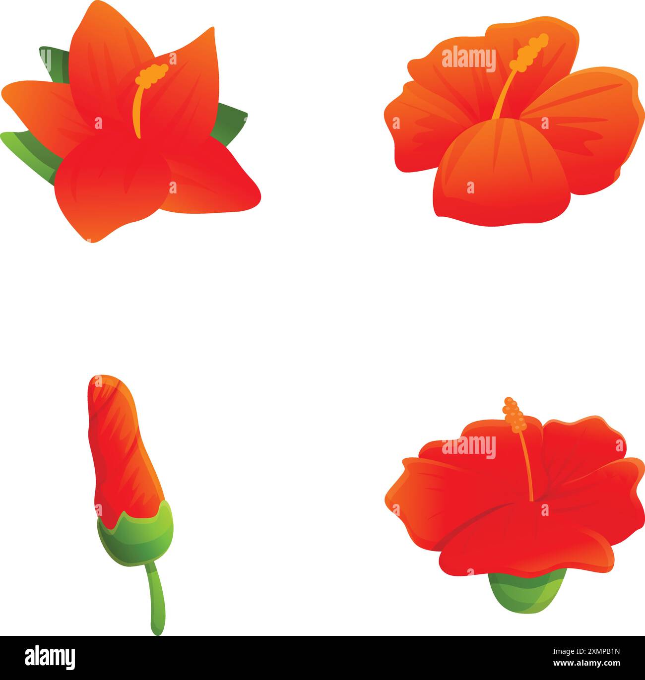 Red hibiscus icons set cartoon vector. Blooming hibiscus with green ...