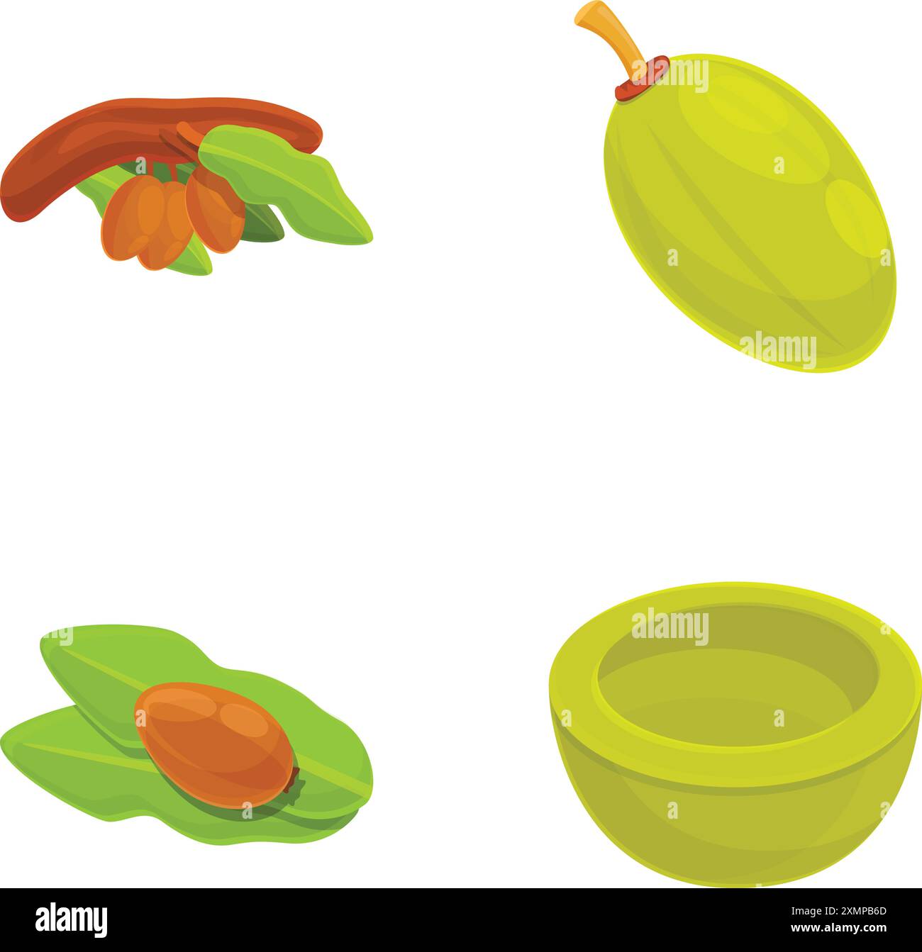 Shea tree icons set cartoon vector. Green shea nut and leaf. Cosmetic ...