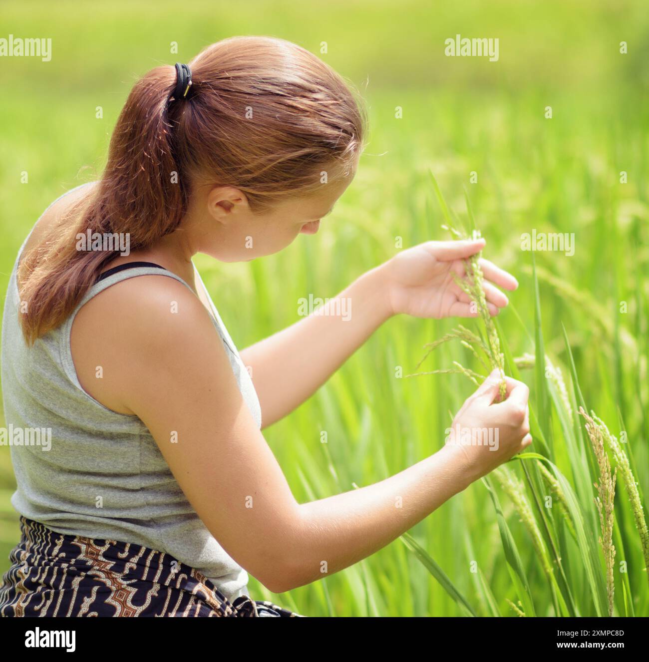 Female farmer rice thailand hi-res stock photography and images - Alamy