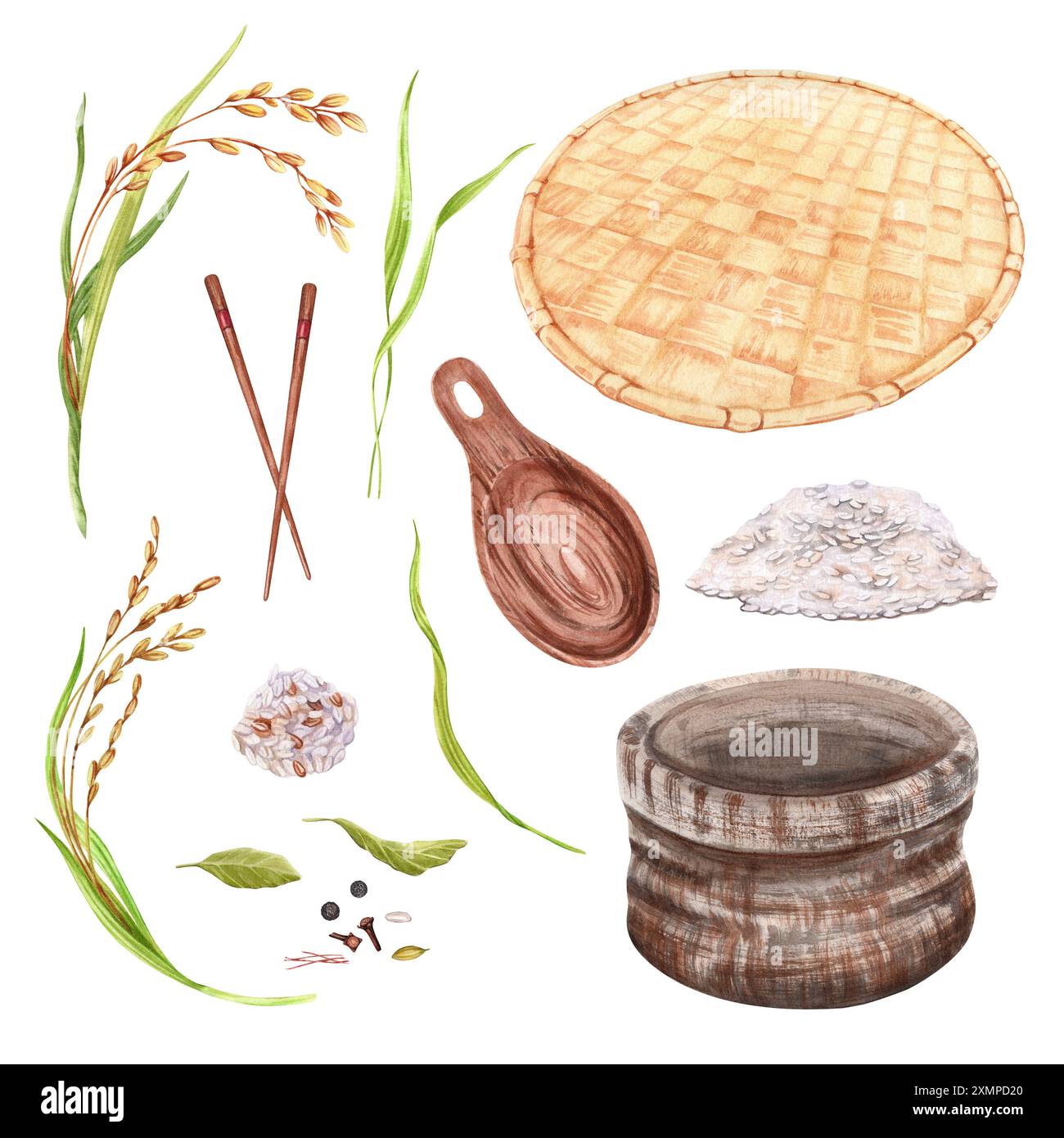 Rice crops and grains collection. Hand drawn watercolor illustration ...