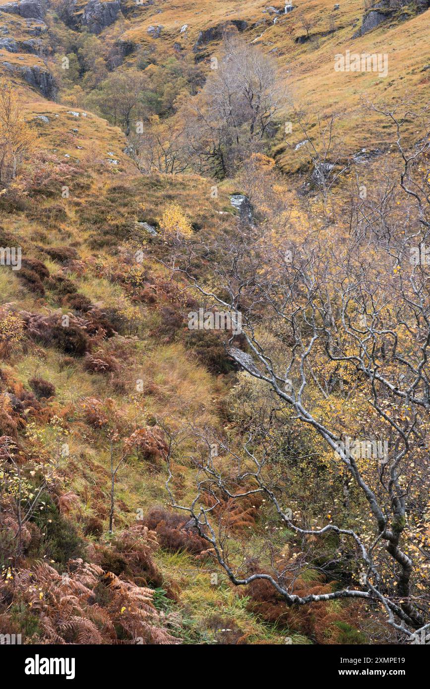 The Lost Valley, Glencoe as seen from the river Coe, Scotland, UK Stock ...