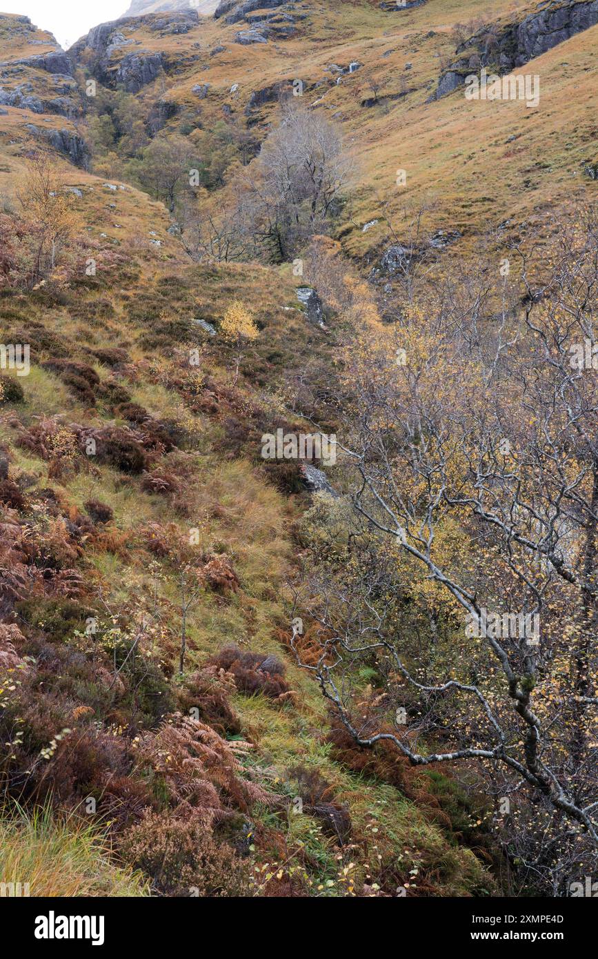 The Lost Valley, Glencoe as seen from the river Coe, Scotland, UK Stock ...