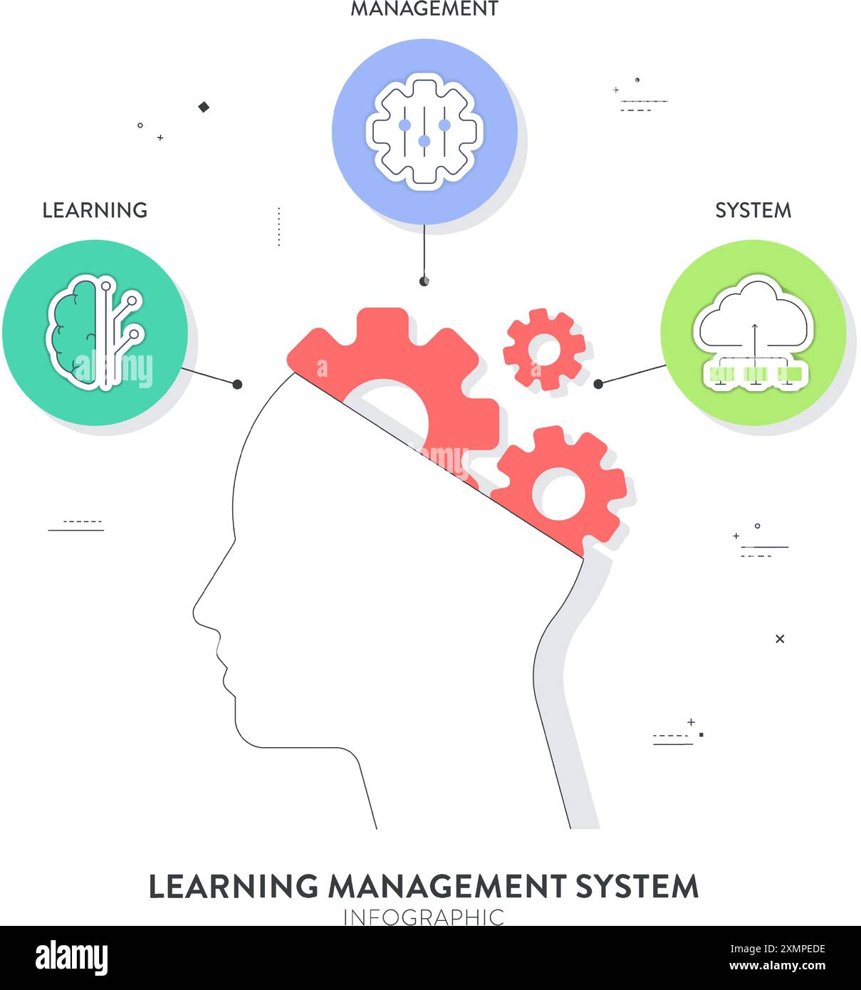 LMS or Learning Management System model infographic diagram chart ...
