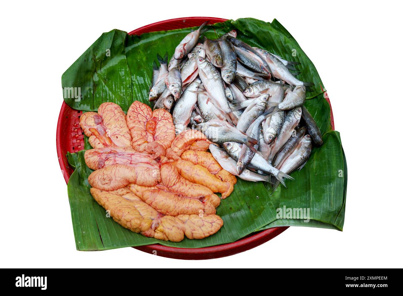 Die cut of Fish eggs and Uncooked Blue spot mullet, or blue tail mullet ...