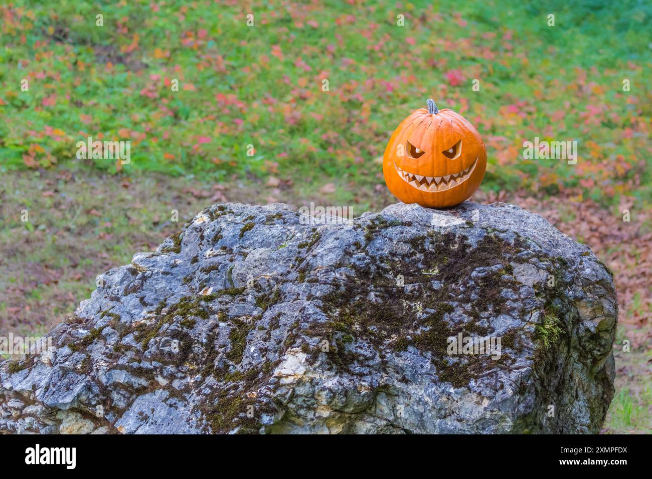 Lonely pumpkin on stone hi-res stock photography and images - Alamy