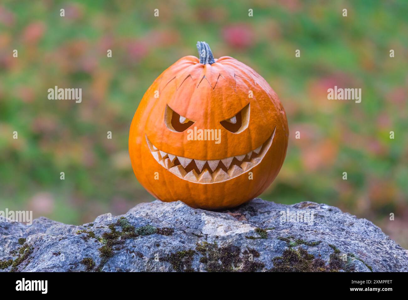 Lonely pumpkin on stone hi-res stock photography and images - Alamy