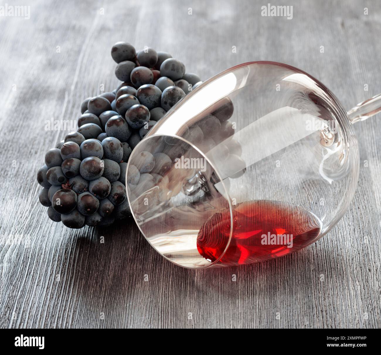 Table grape vineyard hi-res stock photography and images - Alamy